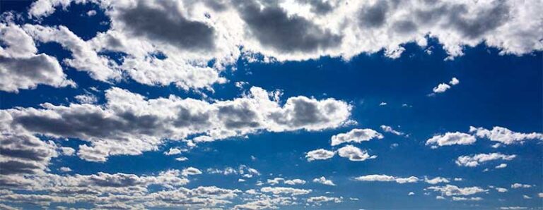 Things That Are Blue (In Nature, Animals, & The Rest Of Our World ...